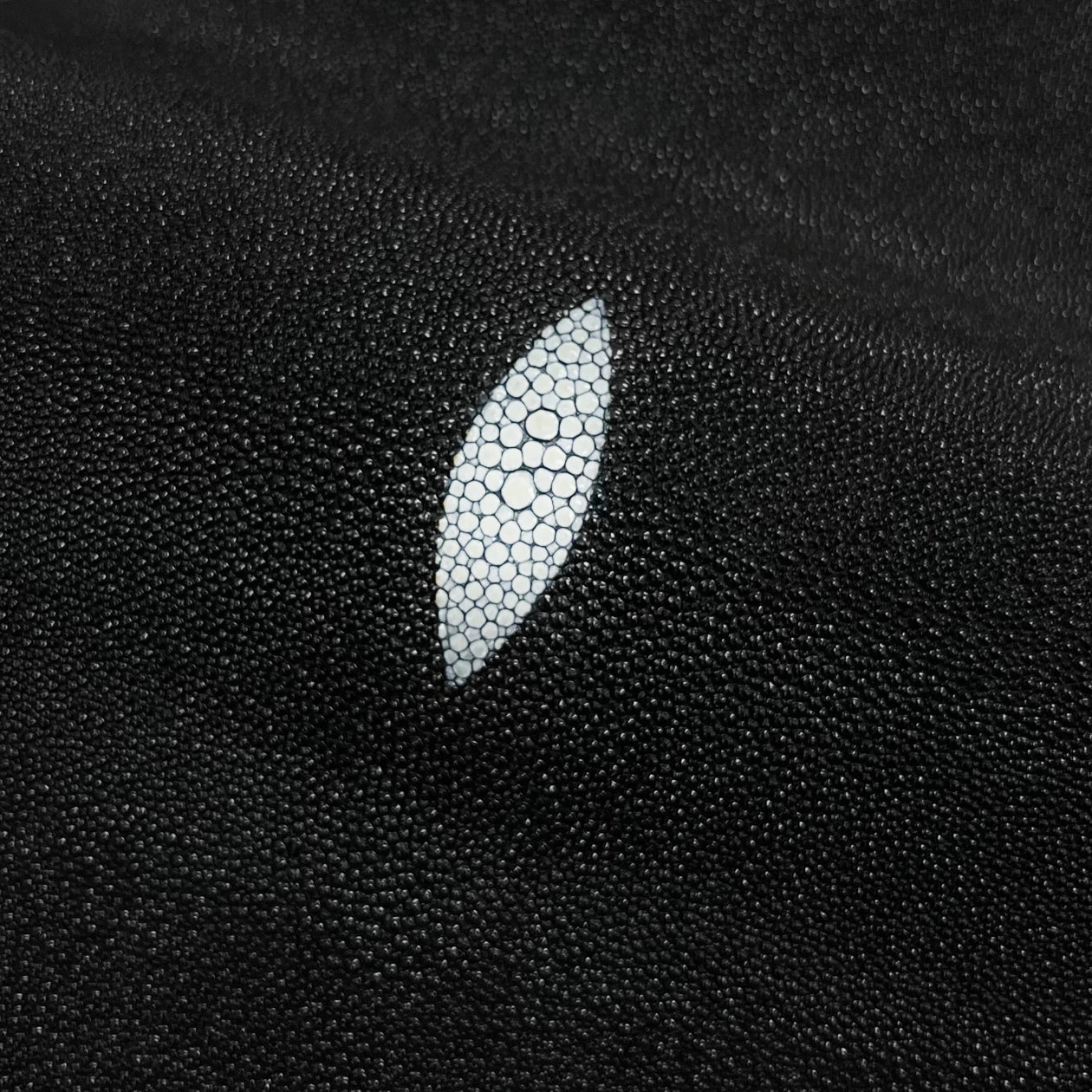 Fish Leather