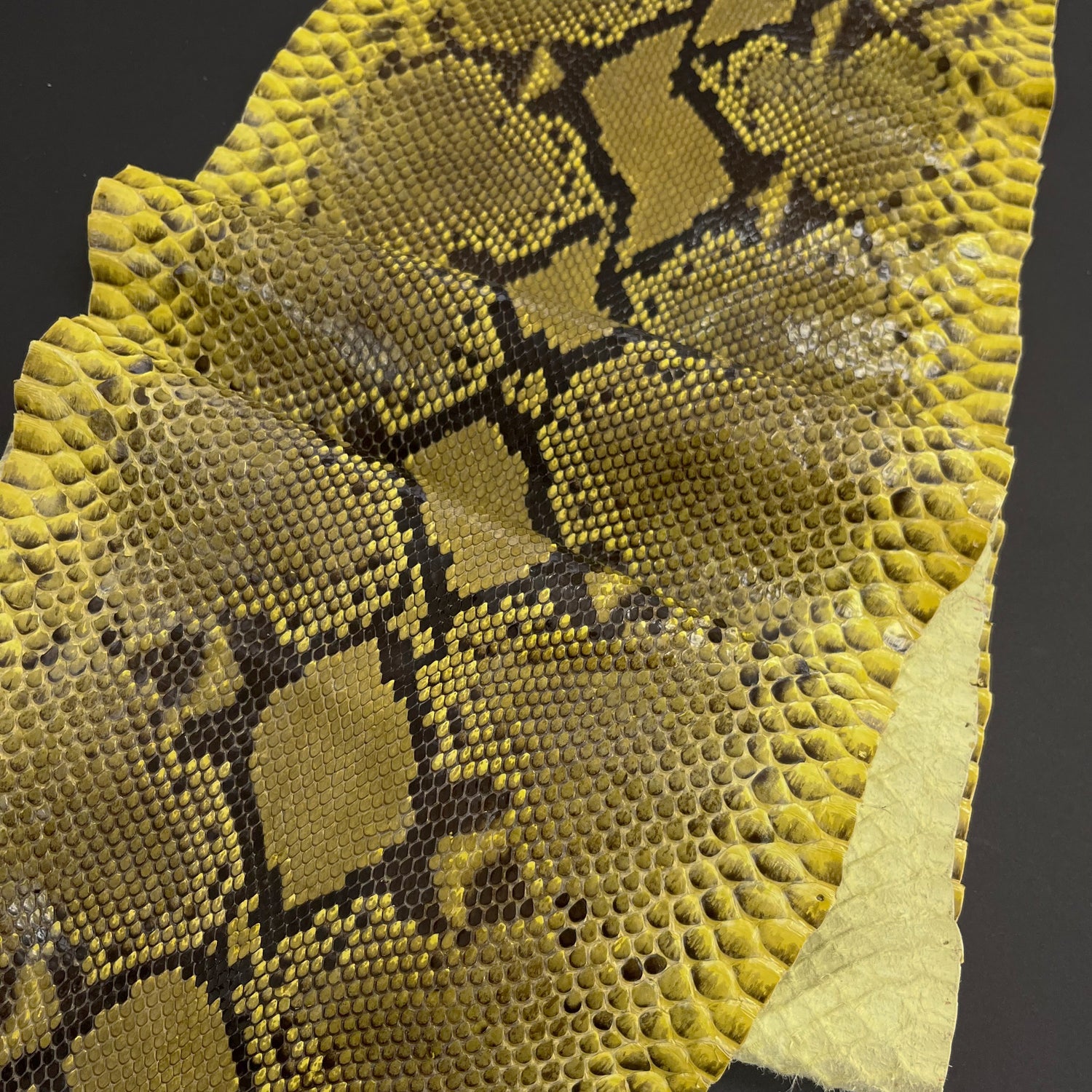 Python Genuine Leather