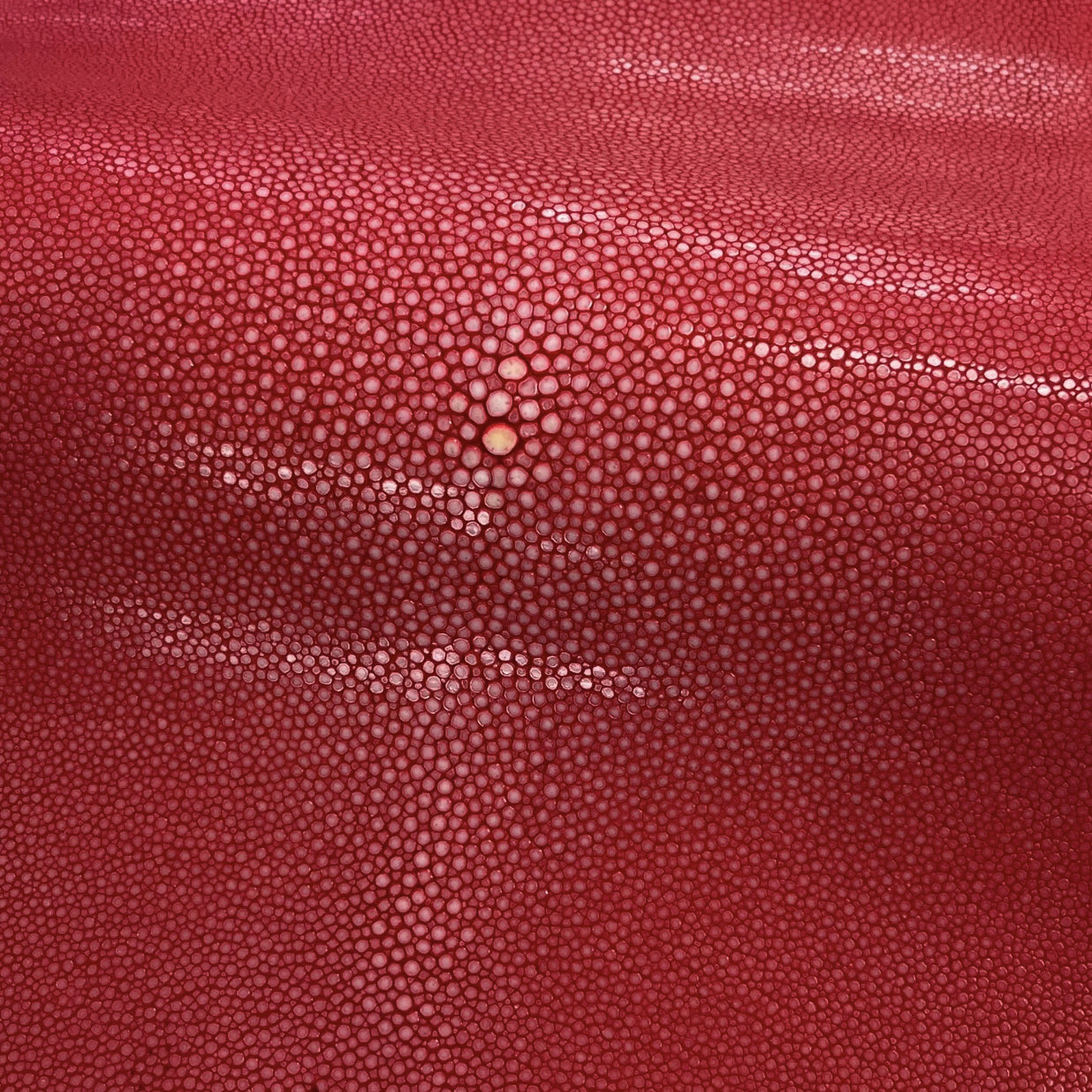 Genuine Stingray / Shagreen Leather