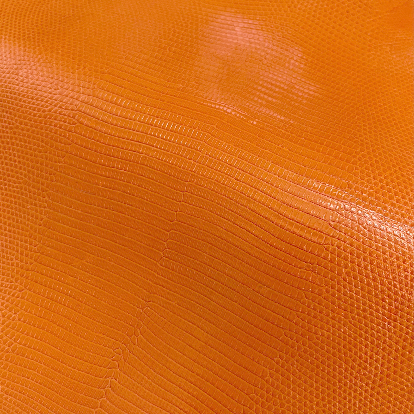 Tennessee Orange Lizard Skin (Back Cut)