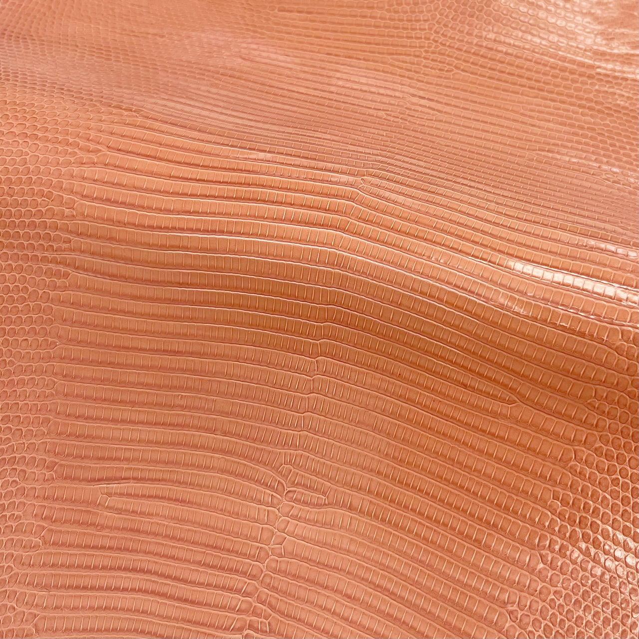 Lizard Skin in Patte Orange Back Cut