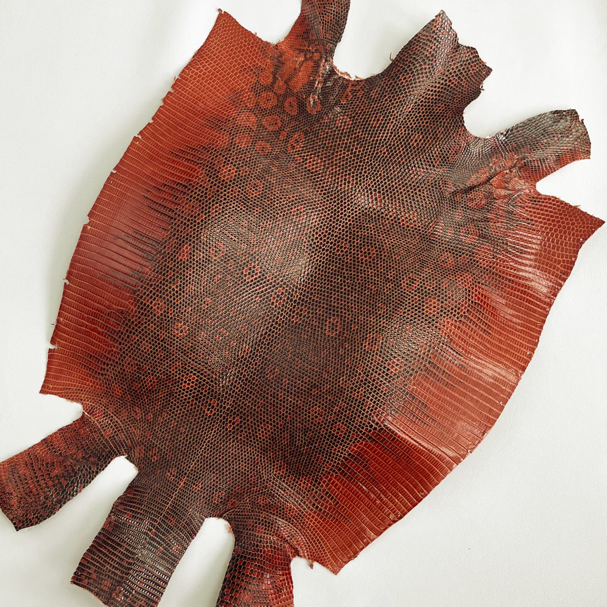 Cognac Lizard Skin (Front Cut)