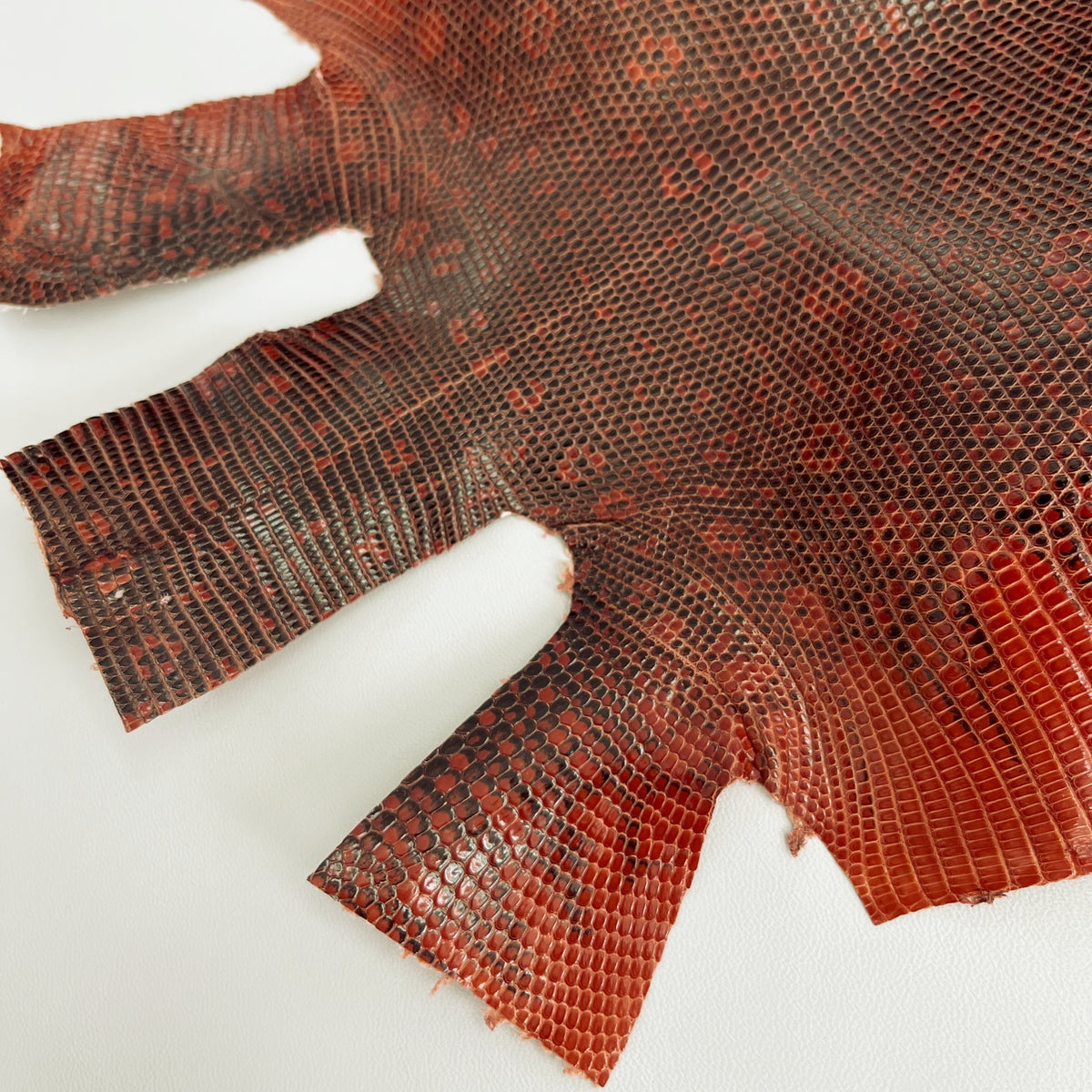 Cognac Lizard Skin (Front Cut)