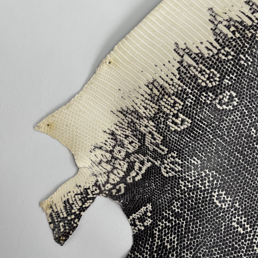 Natural Lizard Skin (Front Cut)