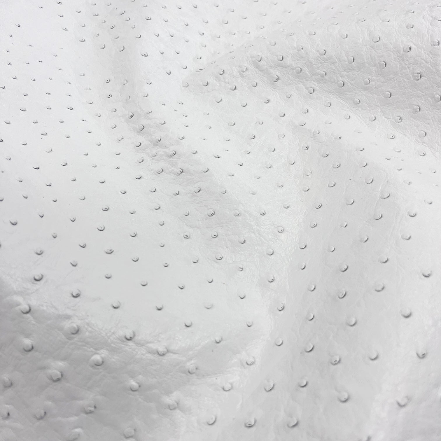 Genuine Ostrich Leather Hide