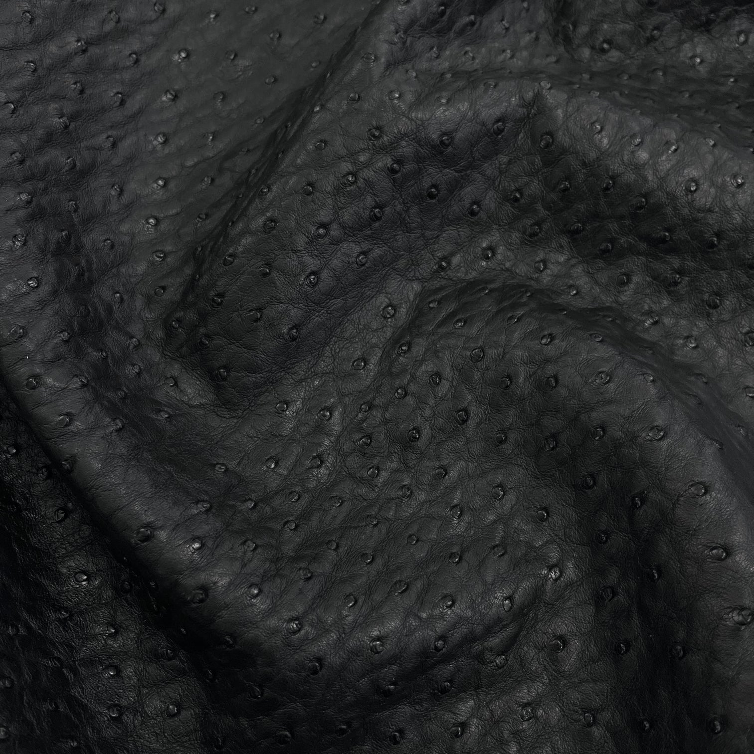 Genuine Ostrich Leather Hide