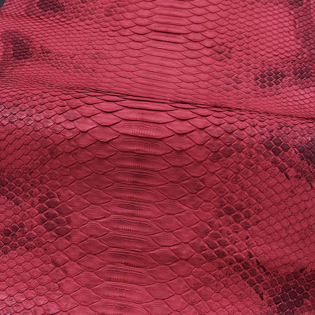 Python Genuine Leather