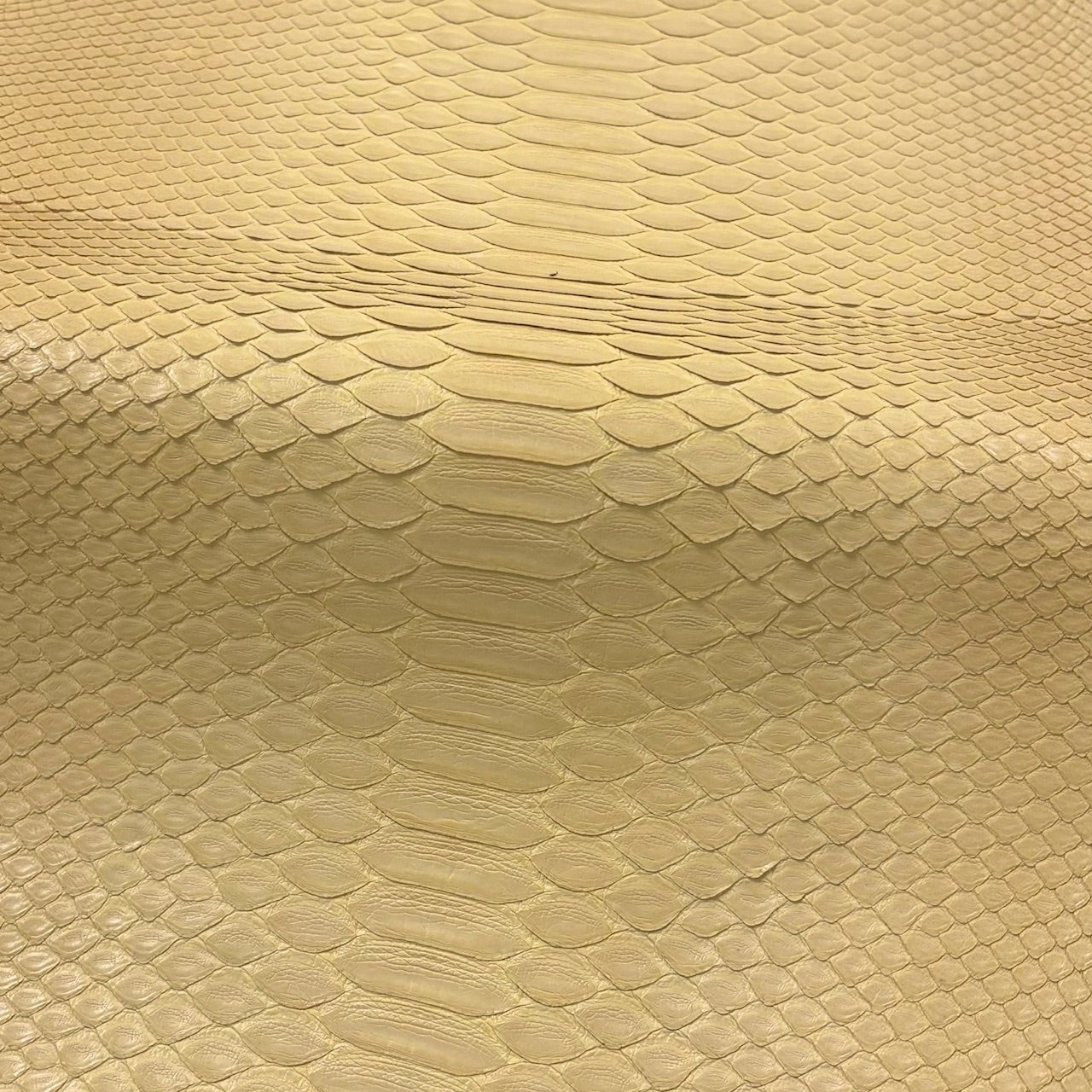 Python Genuine Leather