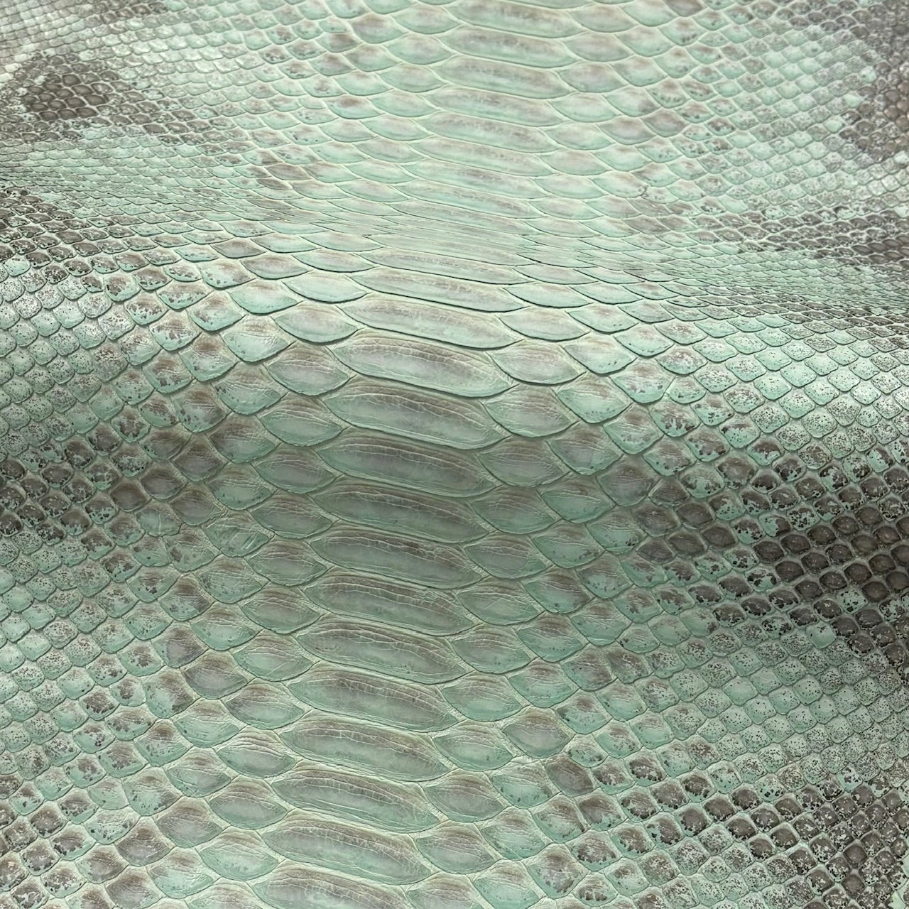 Python Genuine Leather