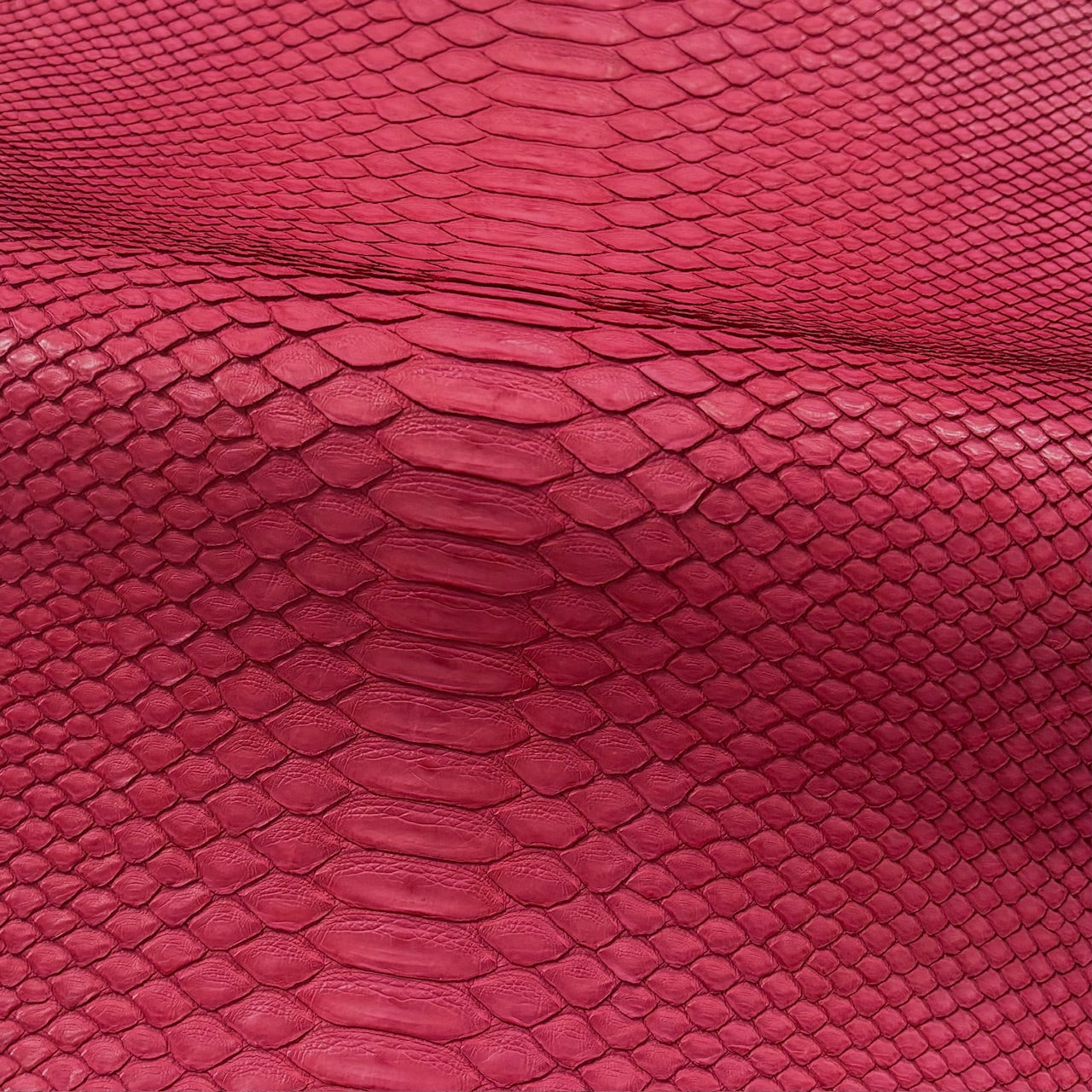 Python Genuine Leather