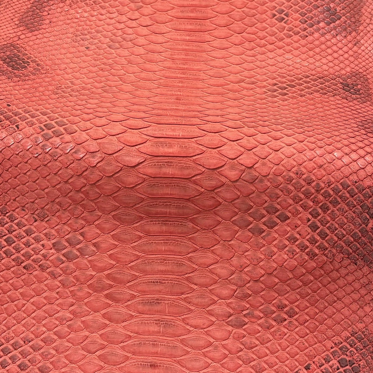 Python Genuine Leather