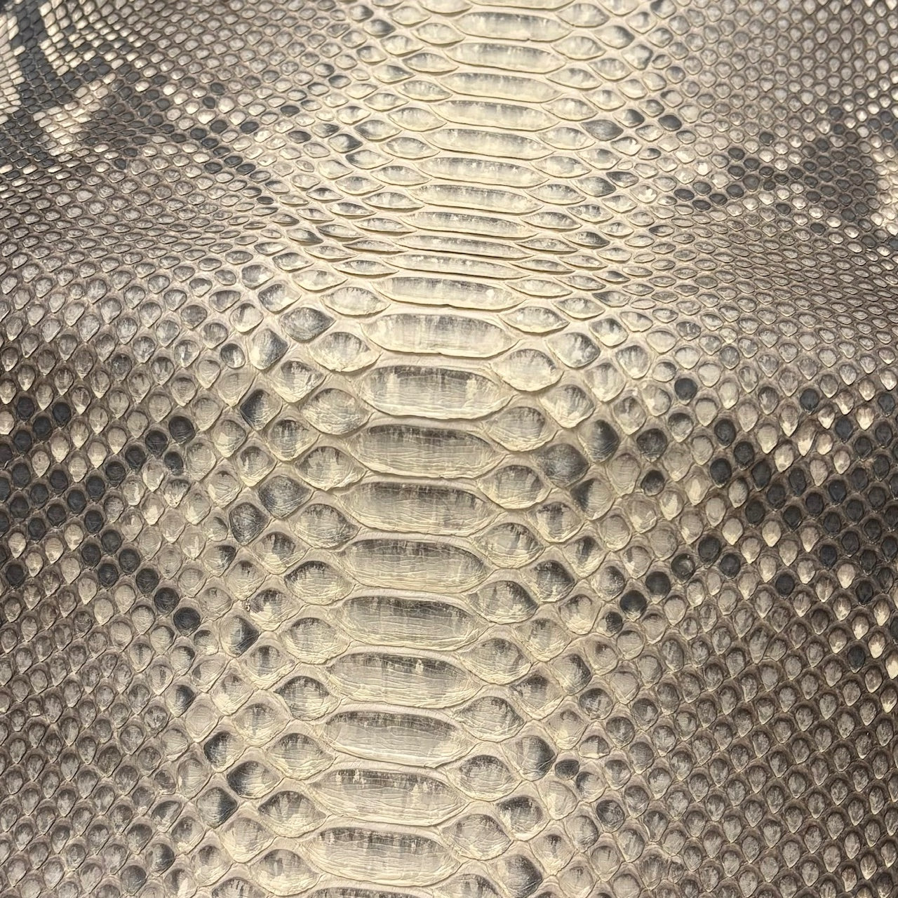 Python Genuine Leather