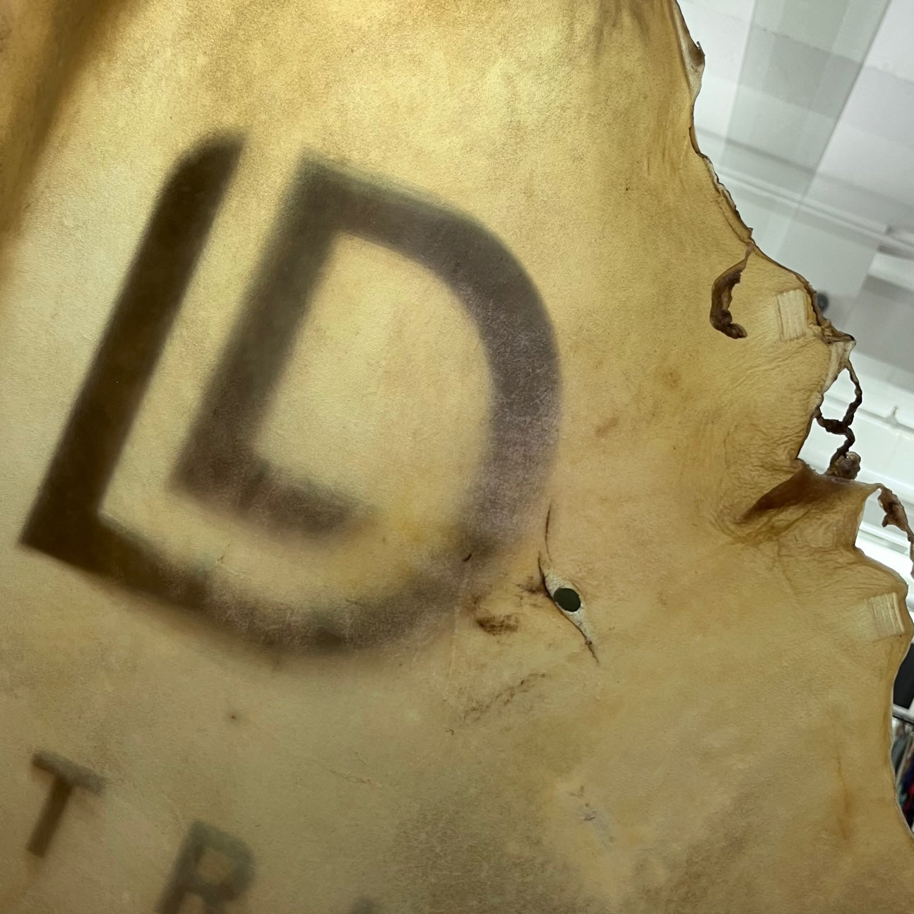 Transparent Translucent Genuine Leather Hide