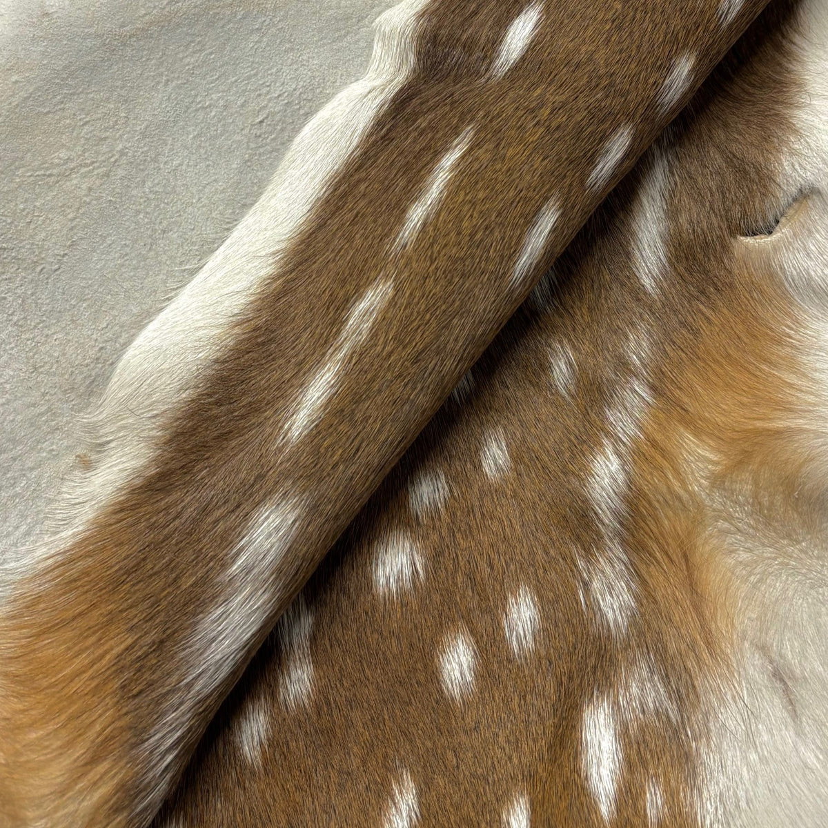 Axis Deer Hide | Grade 1 & Extra Large | Perfect for Bags and Apparel