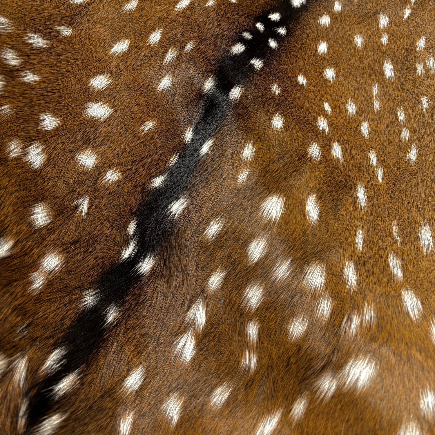 Axis Deer Hide | Grade 1 & Extra Large | Perfect for Bags and Apparel