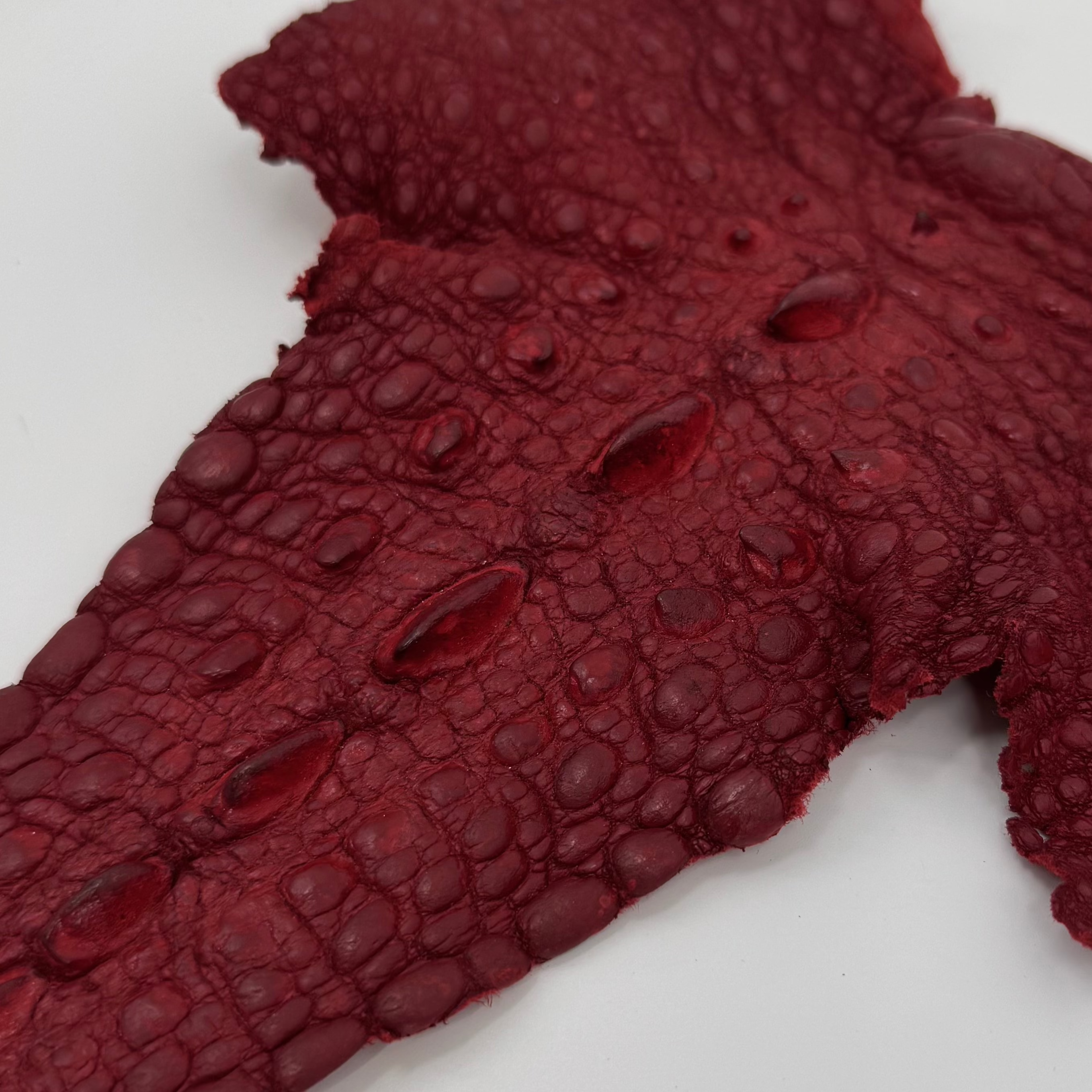 Premium Snapping Turtle Leather – Exotic, Durable, and Unique