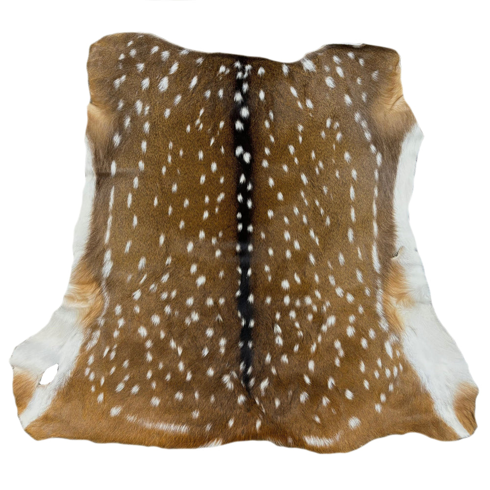 Axis Deer Hide | Grade 1 & Extra Large | Perfect for Bags and Apparel