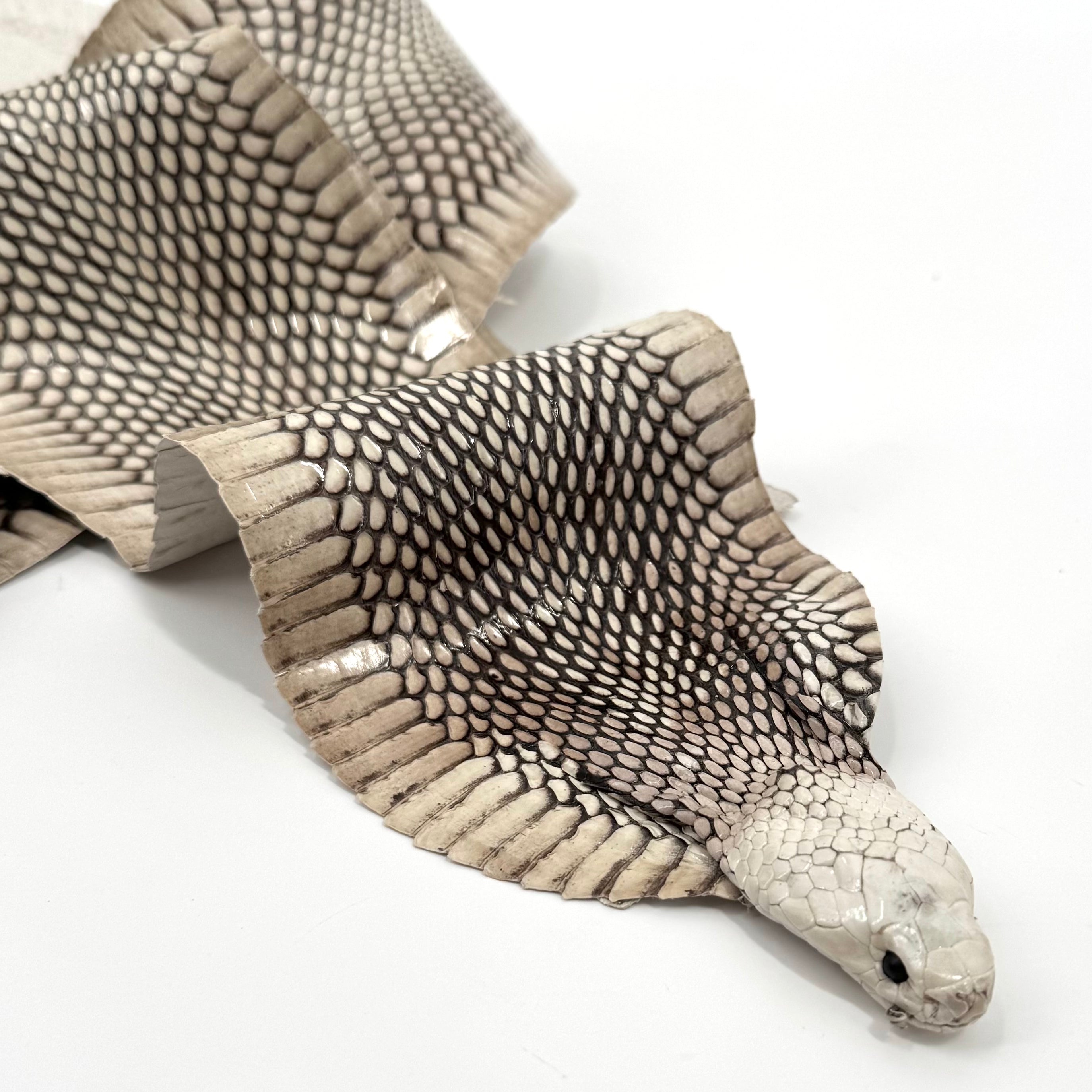 Head-On Genuine Leather Cobra Hide