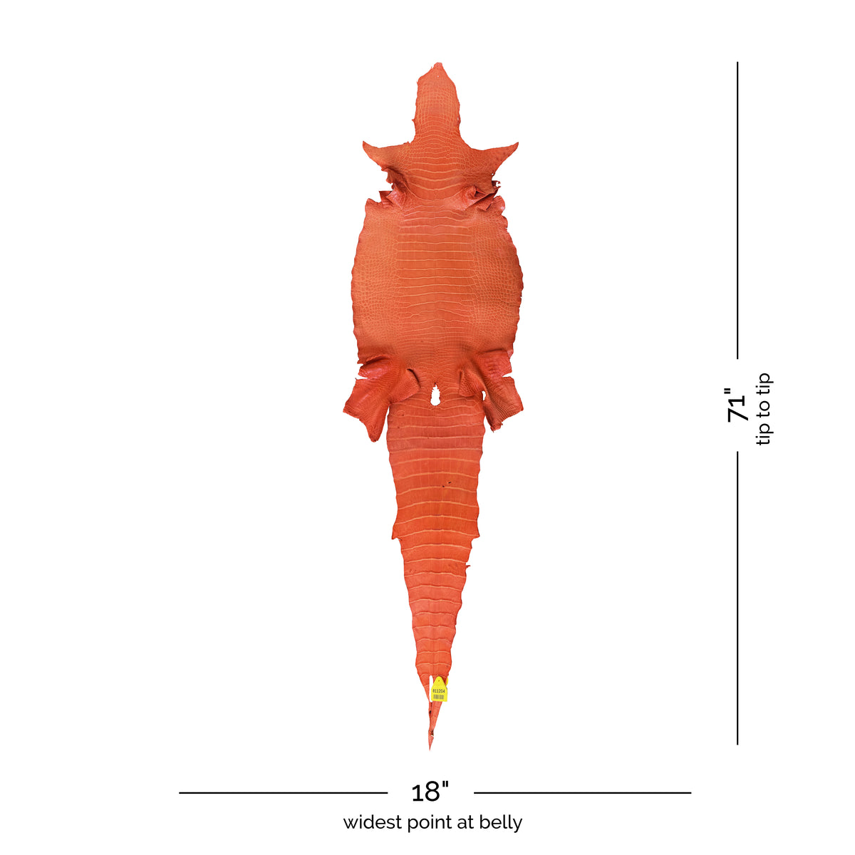 Wild American Alligator Orange | 37 cm