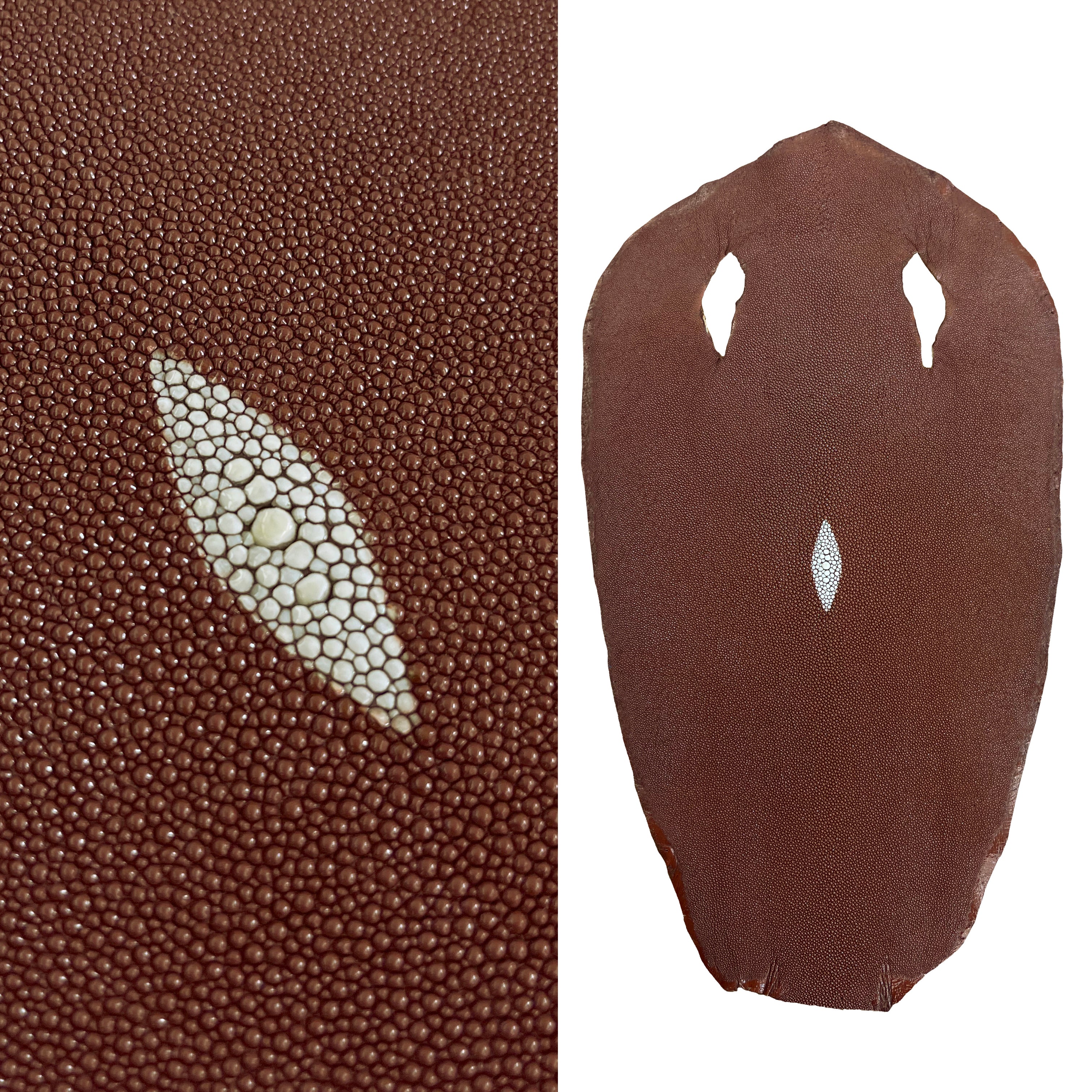 Genuine Stingray / Shagreen Leather